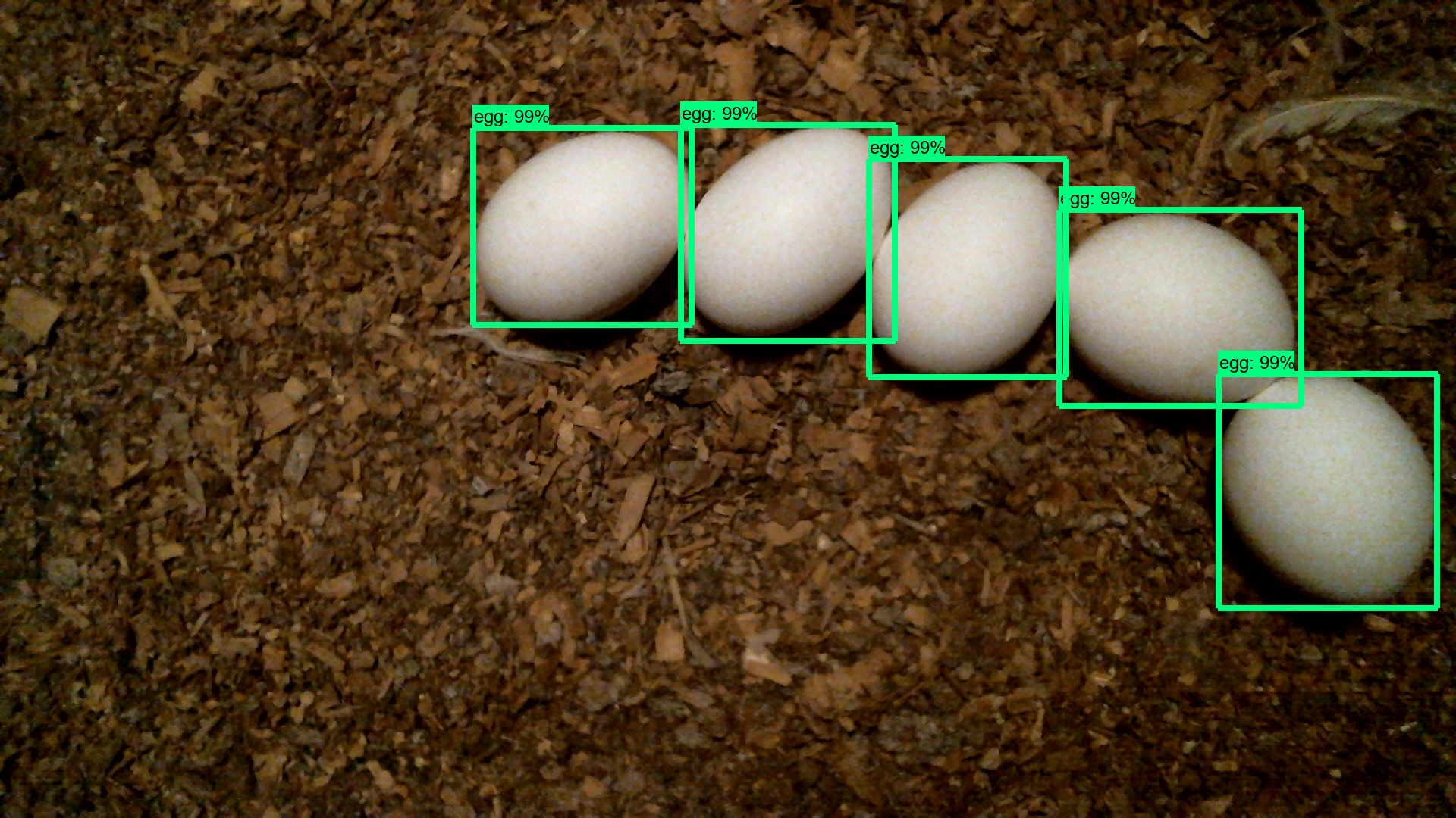 Precision Poultry Management Projects | UT Poultry